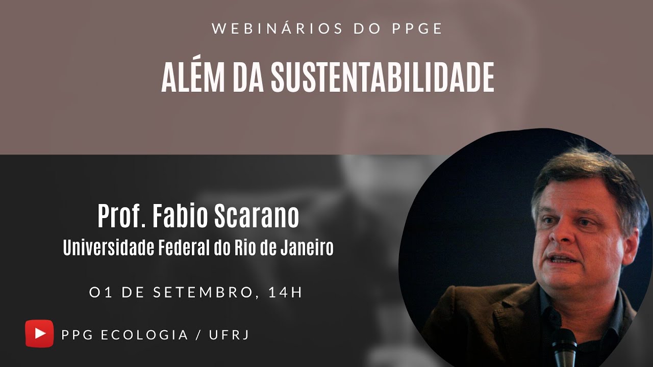 Webinar do PPGE - Prof. Fabio Scarano - YouTube