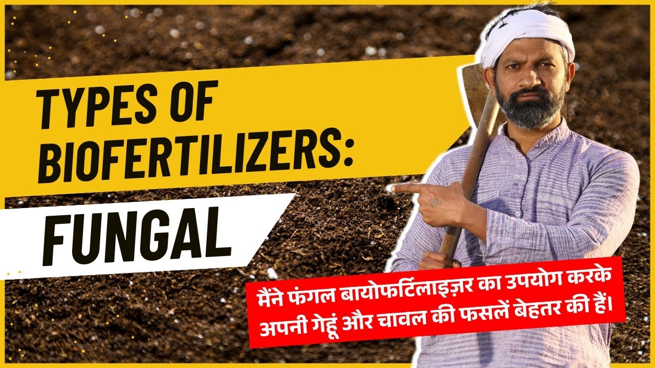 Spring Scientific: Types of Fungal Biofertilizers | Mycorrhiza ...