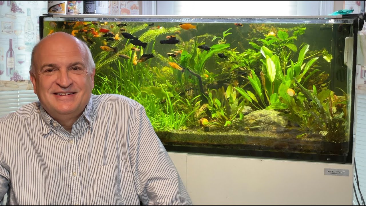 What Mike Paletta learned about coral reef keeping during the pandemic ...