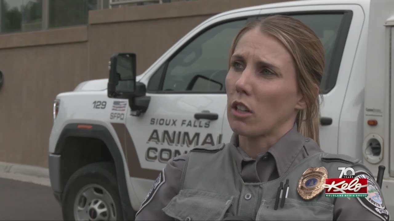 Public is first line of defense in preventing animal neglect - YouTube