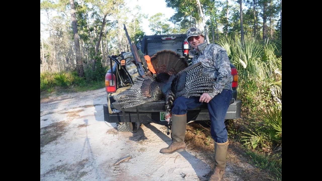 Florida's Ocala Forest Quota Turkey Hunt, What an Experience - YouTube
