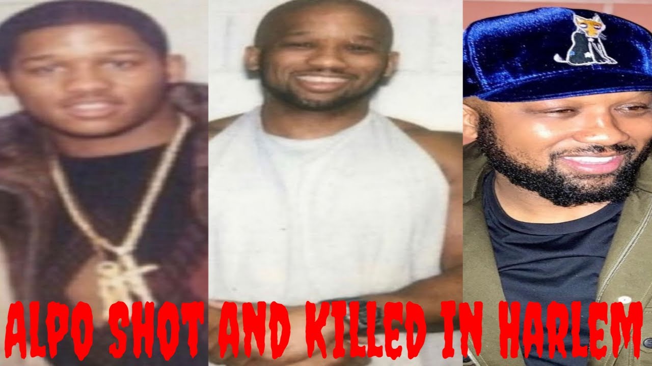 Alpo Shot and killed in Harlem | Now That's Certificial EP 40 - YouTube