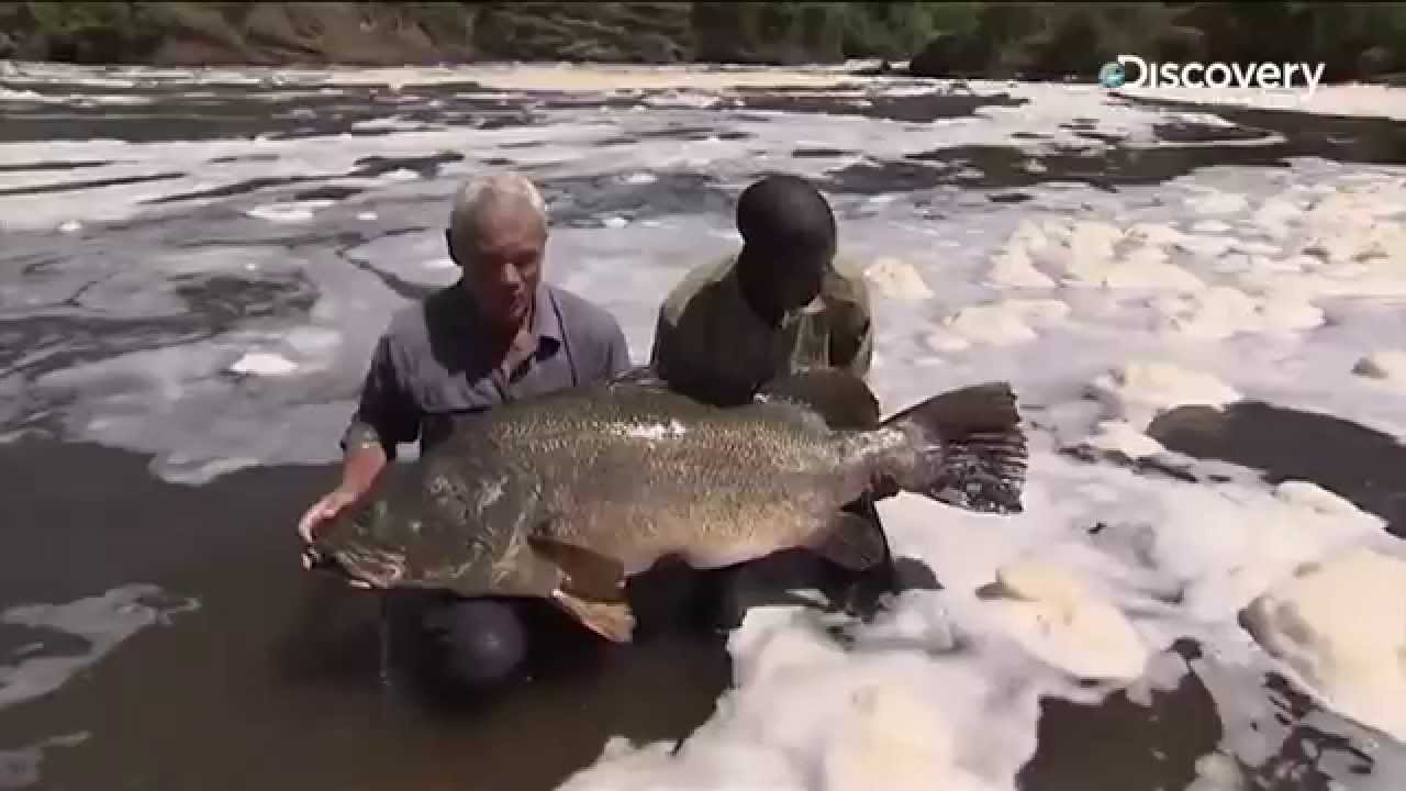 Think Like a Fish | Fishing Tips - YouTube