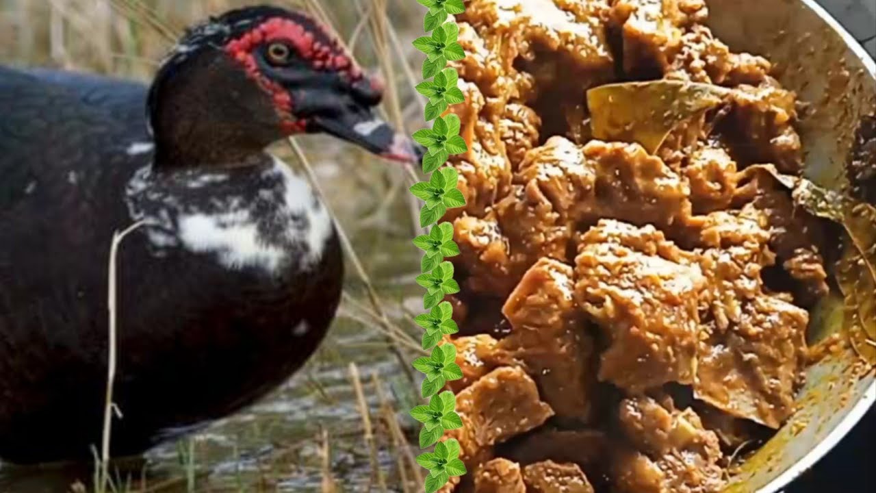 Winter-Special-Muscovy-Duck-Curry | Including Cleaning Method | Popular ...