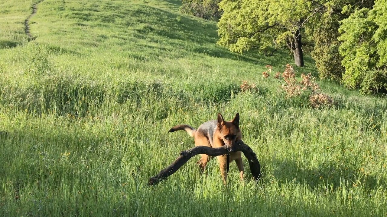 5th April Daily Devotional - Sheltering in Place-Sheltering in God ...