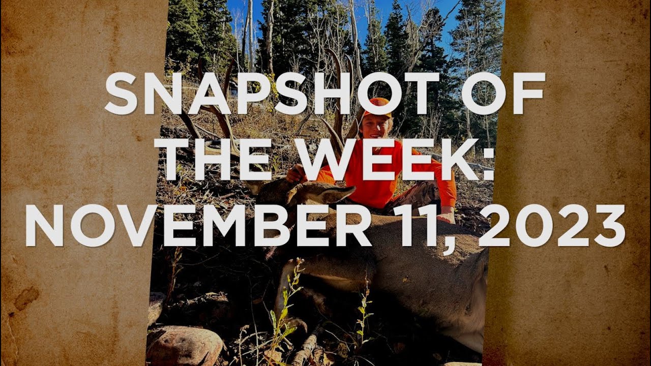 Snapshot of the Week: November 11, 2023 - YouTube