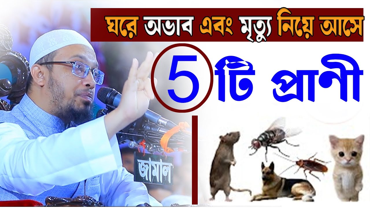 ঘরে অভাব এবং মৃত্যু নিয়ে আসে যে ৩টি প্রাণী এখনি জেনে নিন ৷ শায়খ ...