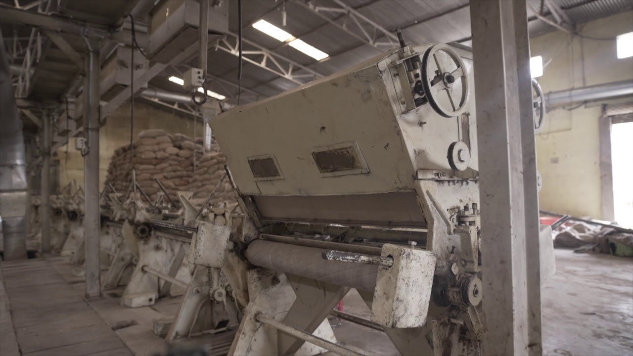 Alterra Pure Organic Cotton Seeds and Ginning Mill - YouTube