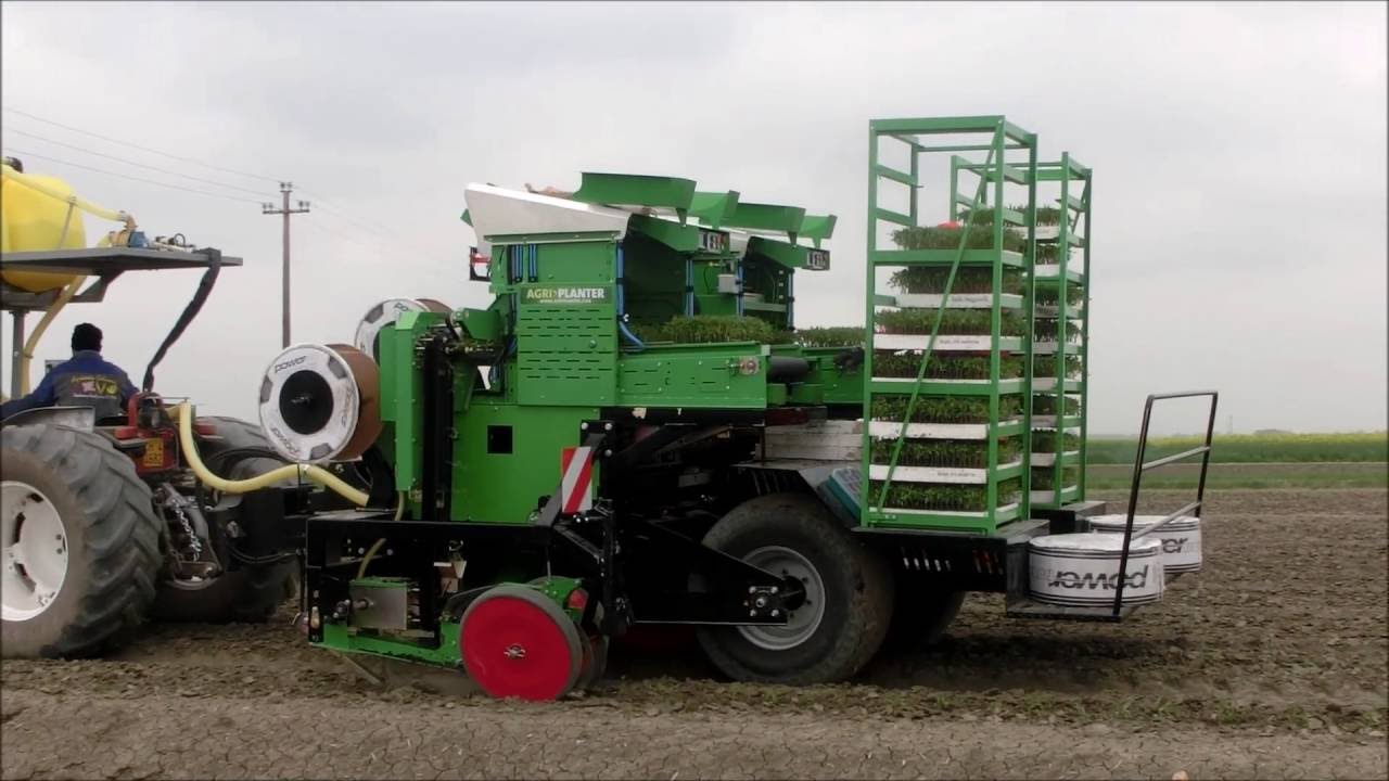 Agriplanter automatic transplanter - 2SP-A - tomatoes - YouTube