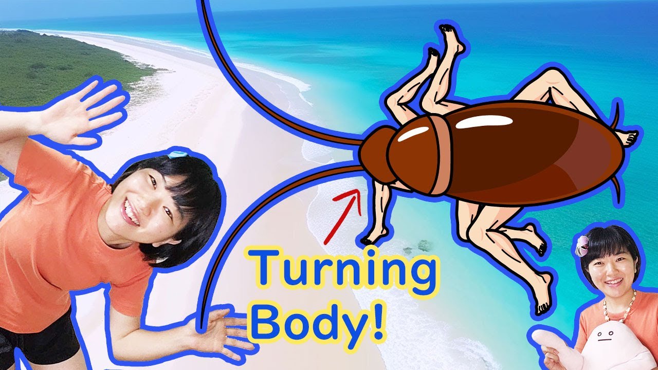 Cockroach with Human Legs! (Part2) Now He Can Turn When Moves! (Making ...