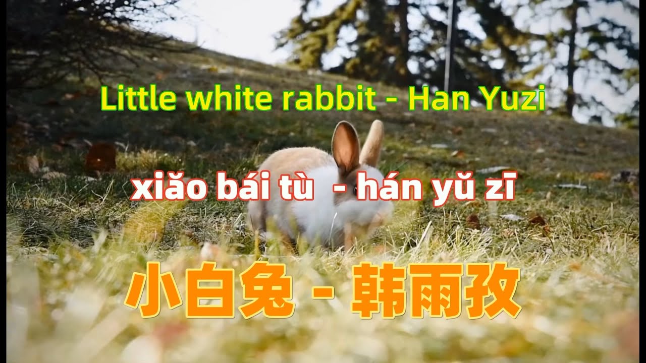小白兔 - 韩雨孜.xiao bai tu.Little white rabbit - Han Yuzi.Chinese songs ...