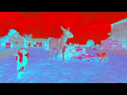 Big Barn Farm Theme Song In G Major 5 - YouTube