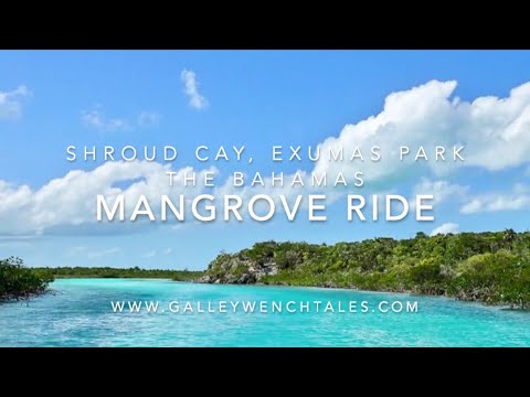 Shroud Cay, Bahamas: Mangrove Ride - YouTube