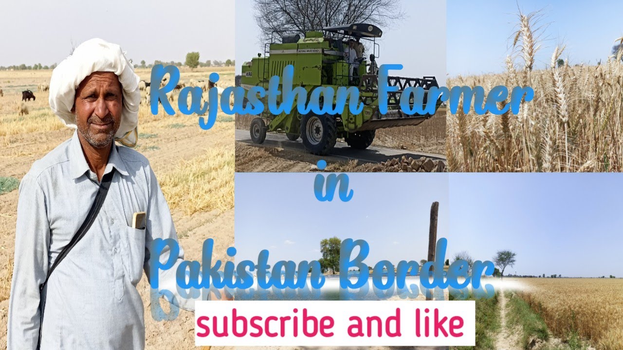 Rajasthan farmer in Pakistan Border - YouTube