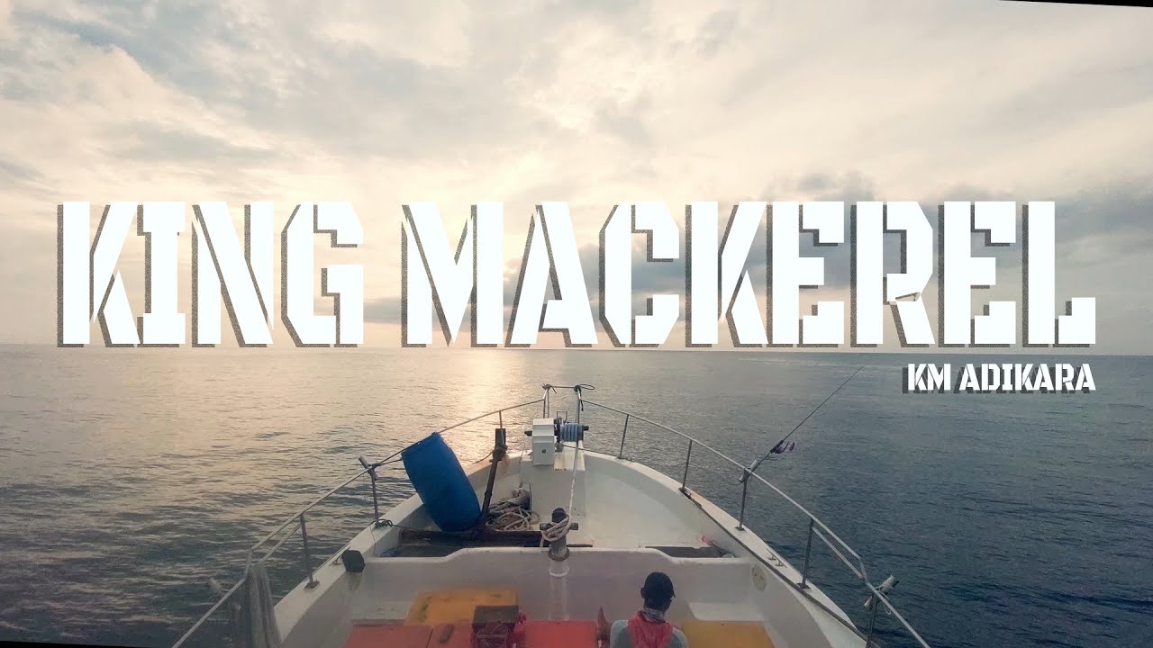 The Adrenaline is REAL! Tengiri Frenzy with KM Adikara, TENGIRI DI LAUT ...