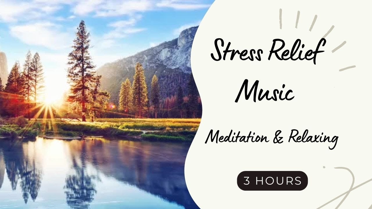 Stress Relief Music / Sleep Music / Meditation Music / Study Calming ...