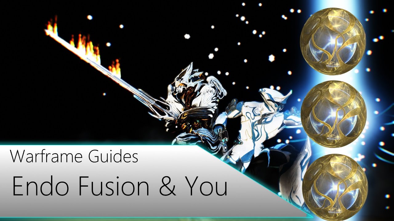 Warframe Guides: Endo, Fusion & You - YouTube