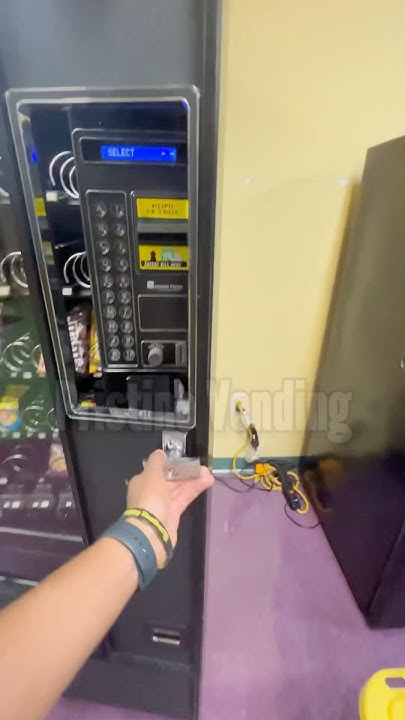 Vending Machine Collection After 2 Weeks#vendingmachinebusiness - YouTube