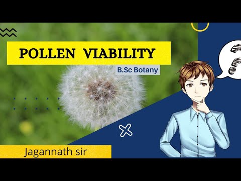 Pollen viability || B.Sc Botany || Bio gyan - YouTube