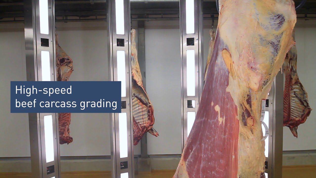 Frontmatec Beef Solutions | Beef Classification Center, BCC-3™ - YouTube