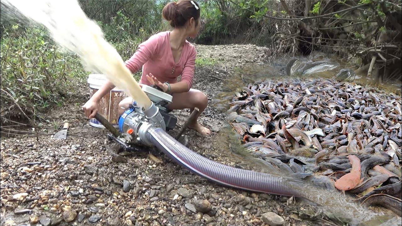 Catch fish | Using pumps, pumping water outside the natural lake ...