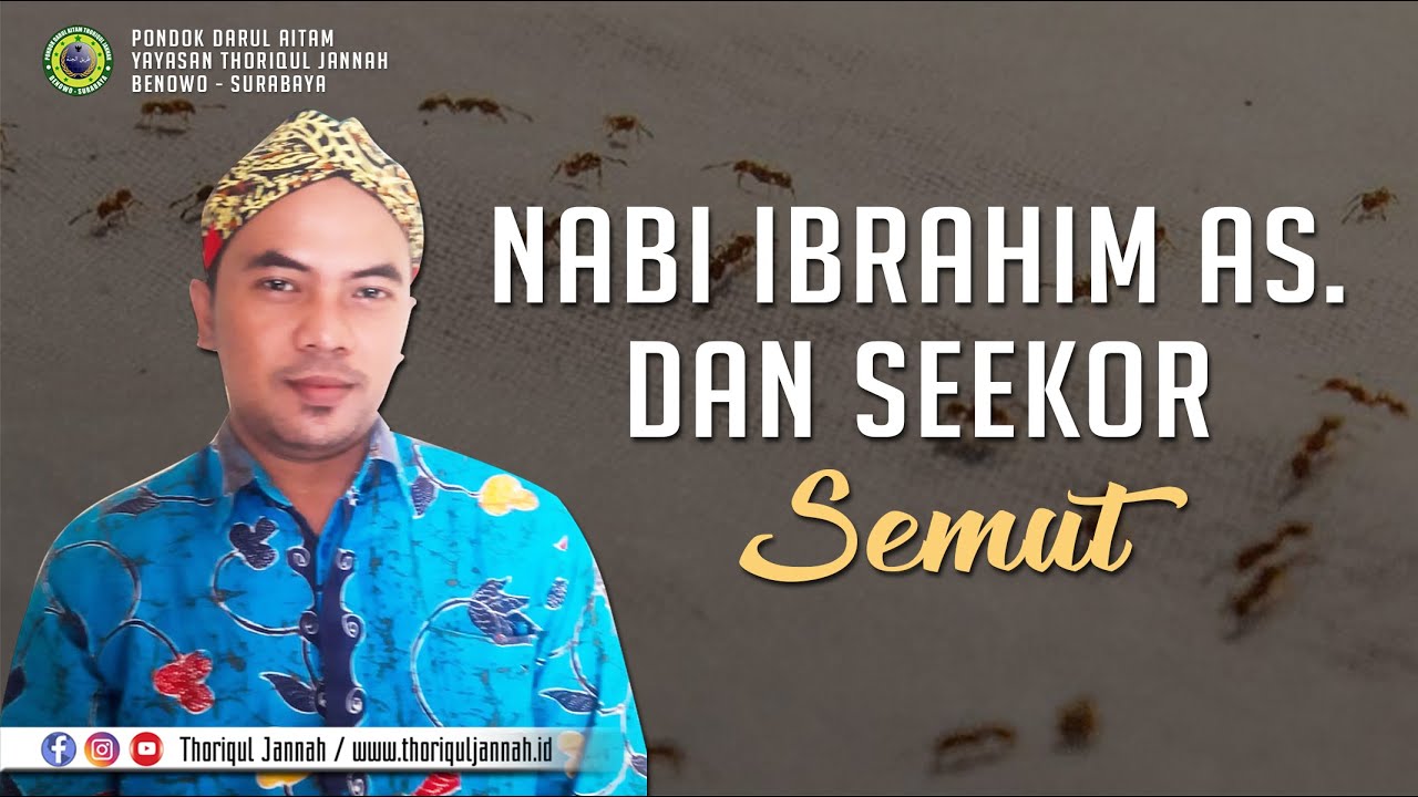 NABI IBRAHIM DAN SEMUT - YouTube