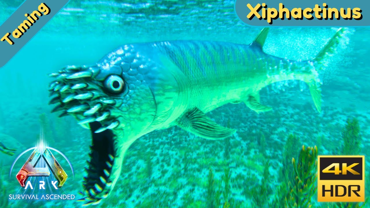 ARK The Center Ascended : Tame a Xiphactinus - YouTube