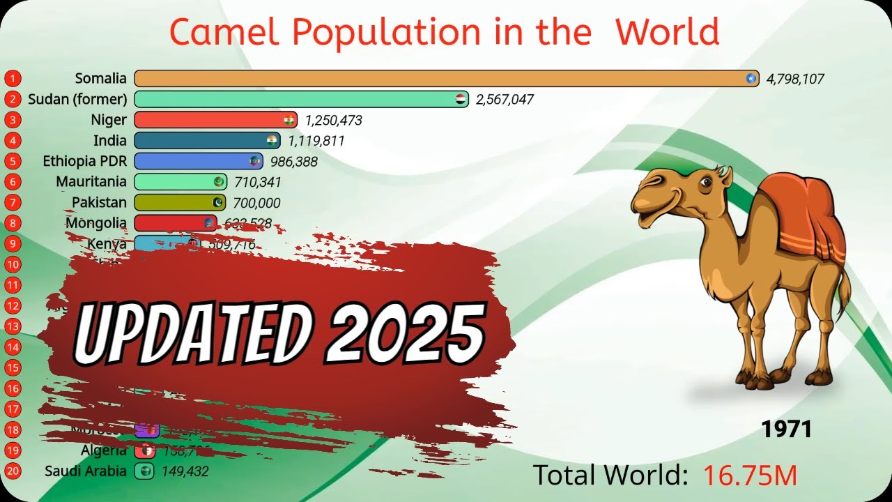 Camel Population in the World - The Countries with the Largest Number ...