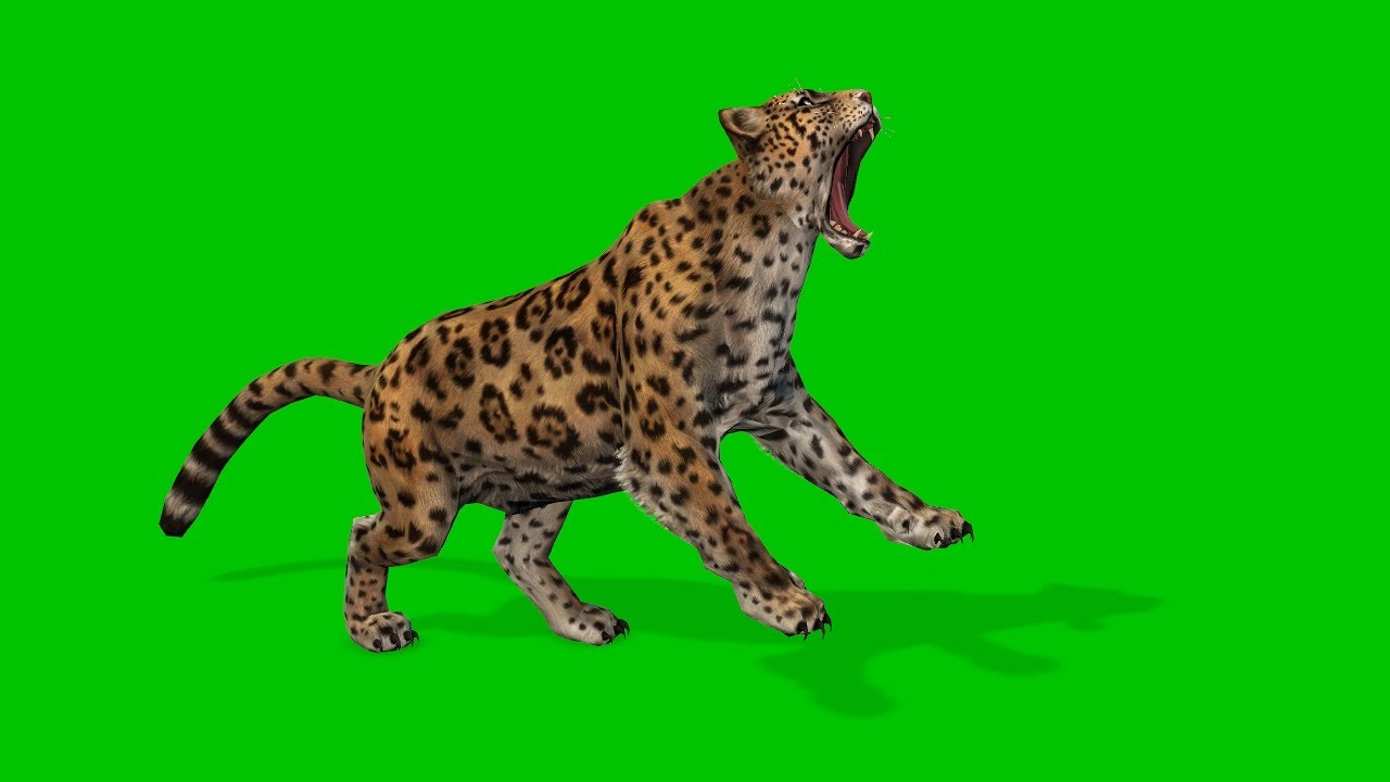 Jaguar Green Screen Effects II Green Screen Effects II Jaguar - YouTube