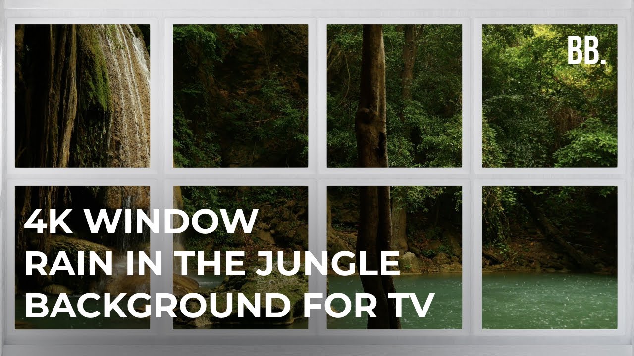 4K Window to Tropical Rain in Jungle | 4K Jungle Rain From The Window ...