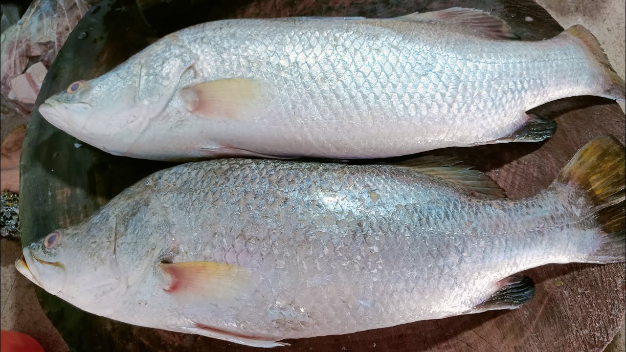 Seabass fish cutting skills #like #share #subscribe #comment # ...