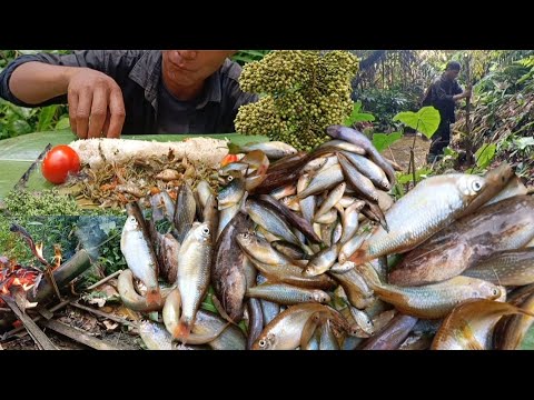 Treditional style fishing | prepare & cooking local fish in bamboo with ...