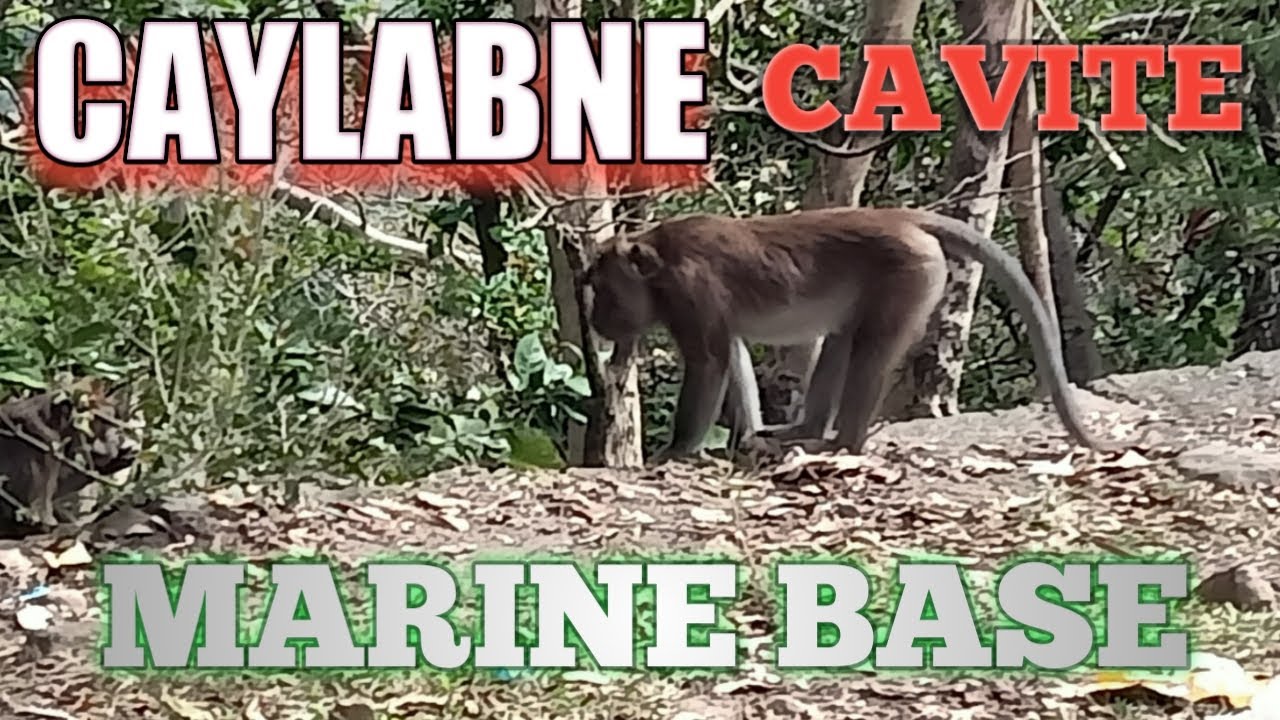 #MARINE BASE | #CAYLABNE CAVITE - YouTube