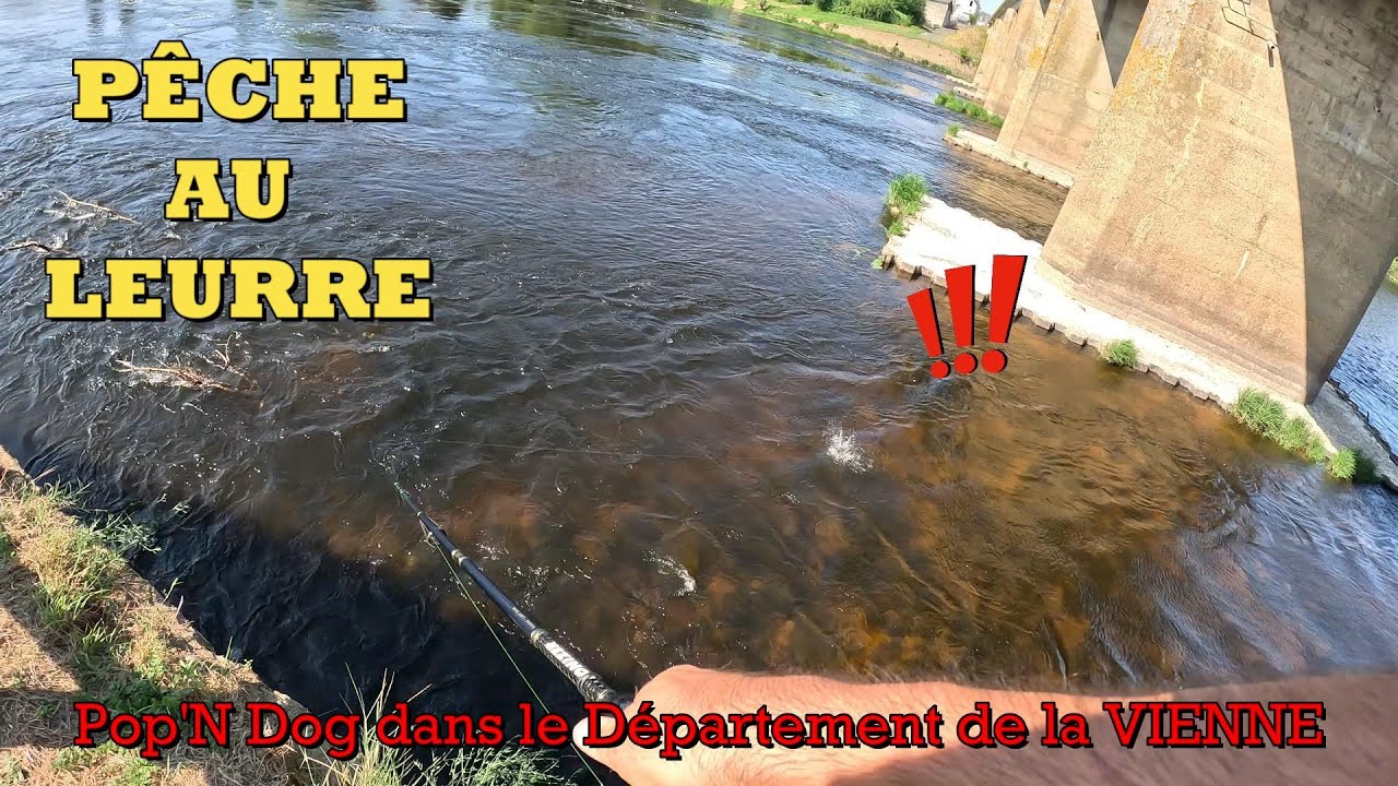 Pêche au Pop'N Dog dans le département de la VIENNE (des poissons ...