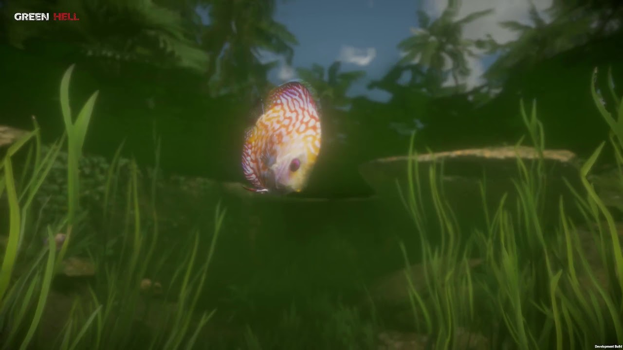 Green Hell Water Update - YouTube