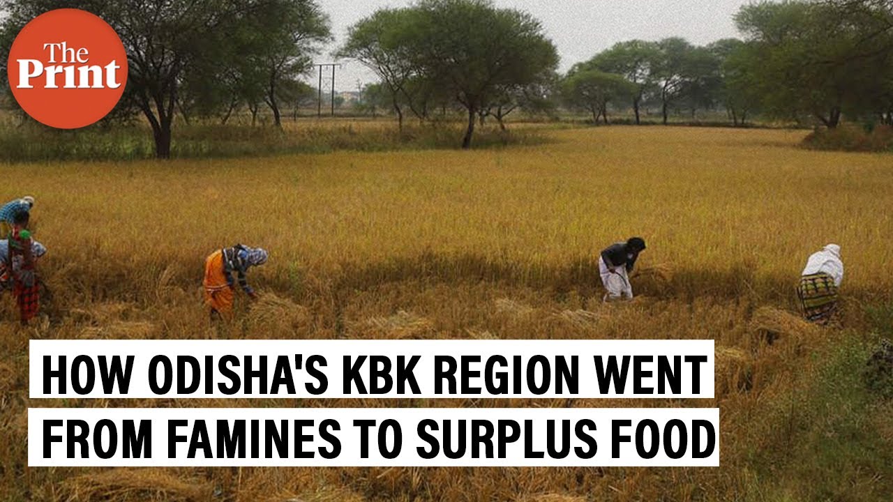Starvation deaths to surplus food production — How Odisha’s KBK ...