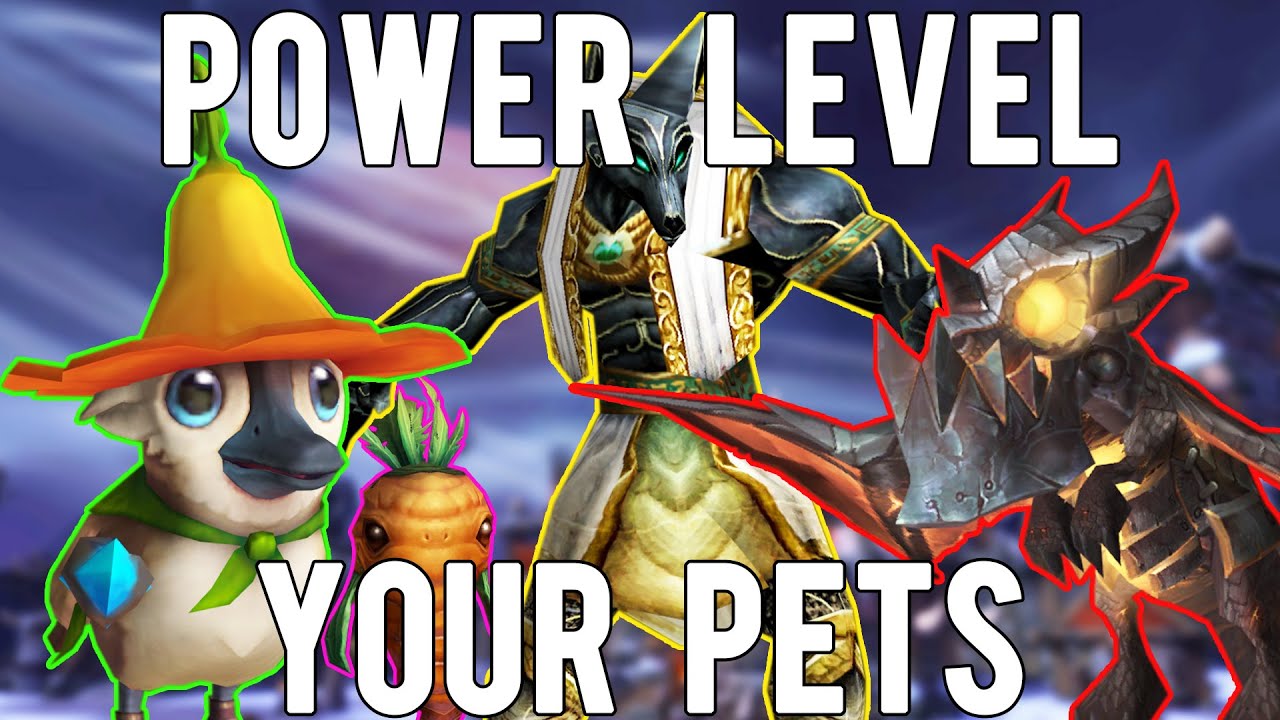 How To Power Level Battle Pets In WoW - YouTube