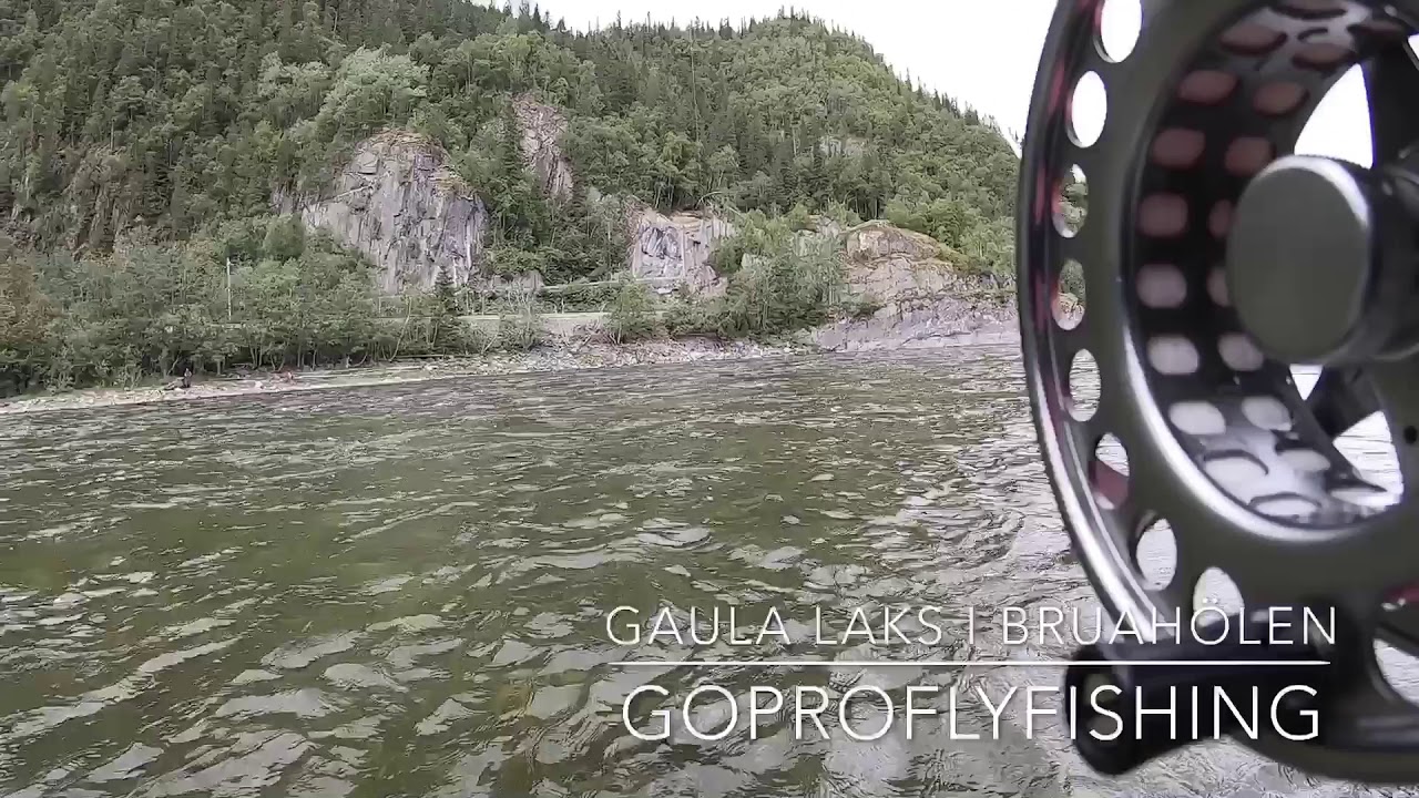 80 cm. Gaula laks i Bruahölen 1. Juli 2020 - YouTube