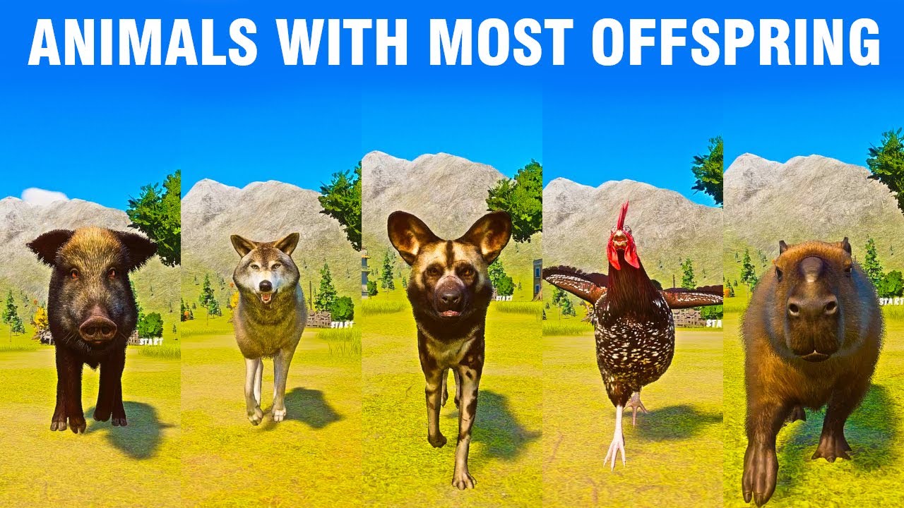 Animals with Most Offspring Category Speed Race in Planet Zoo included ...