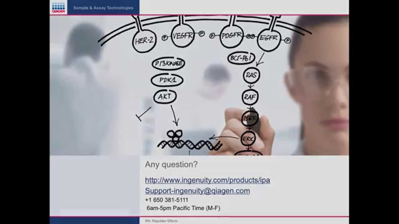 Ingenuity Pathway Analysis: Regulator Effects Analysis - YouTube