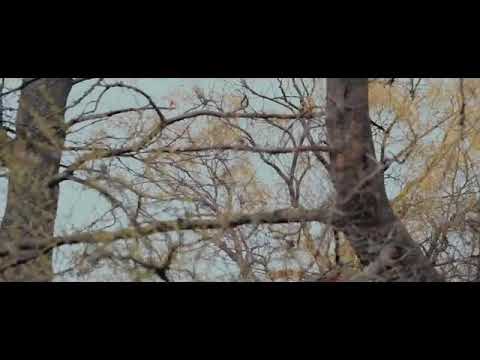 Chevy cruze / tuning music (moon light)