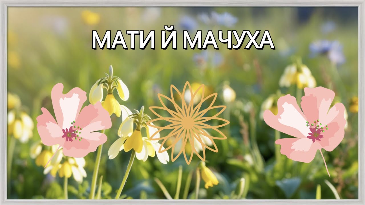 ЦІКАВІ ФАКТИ ПРО МАТИ Й МАЧУХУцікаво Youtube