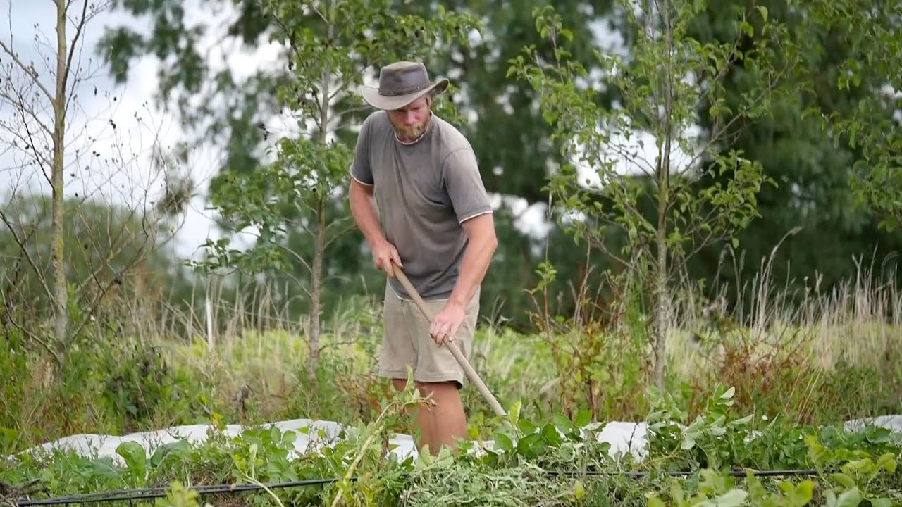 Plotgate Community Farm - YouTube