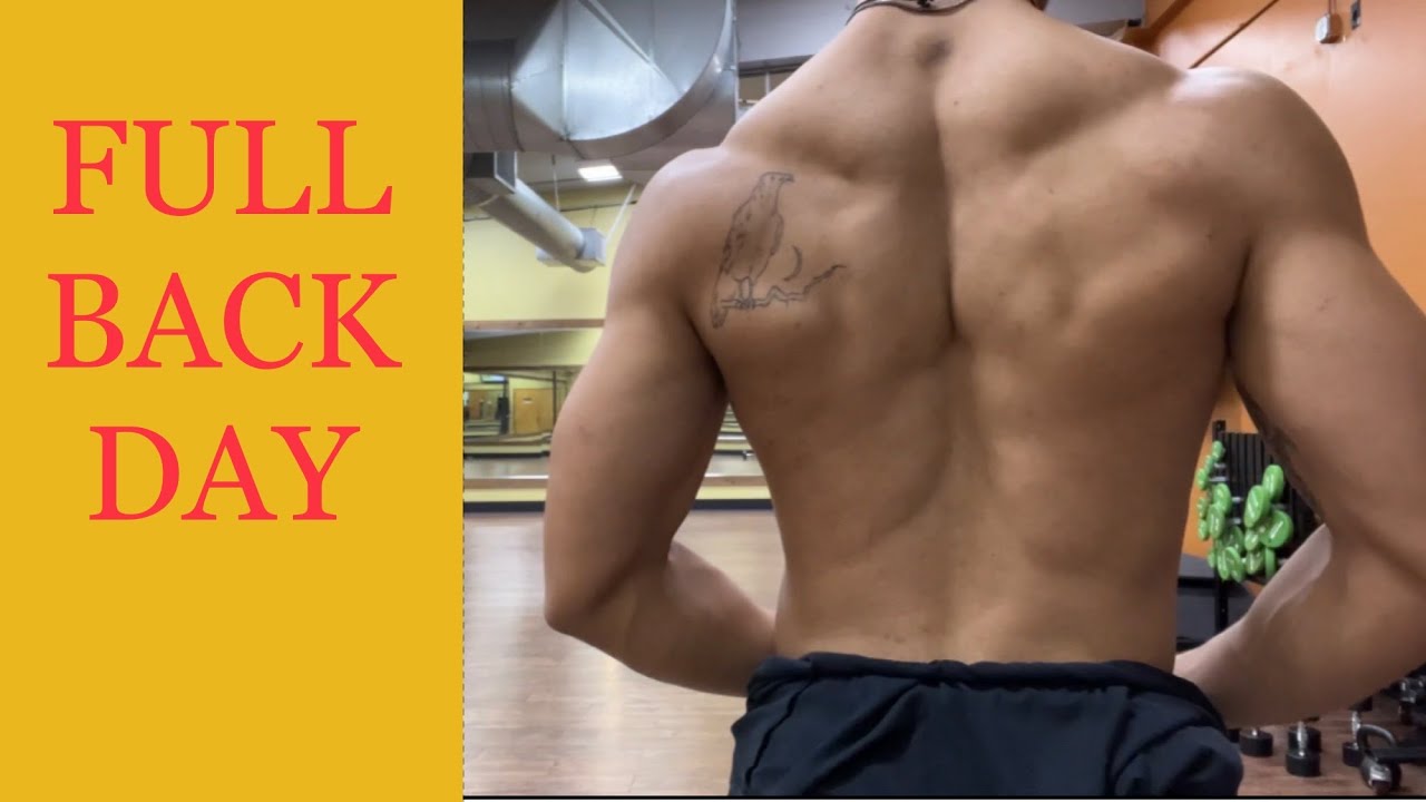 FULL ISOMETRIC BACK DAY (Increase Time Under Tension & Mind/Muscle ...