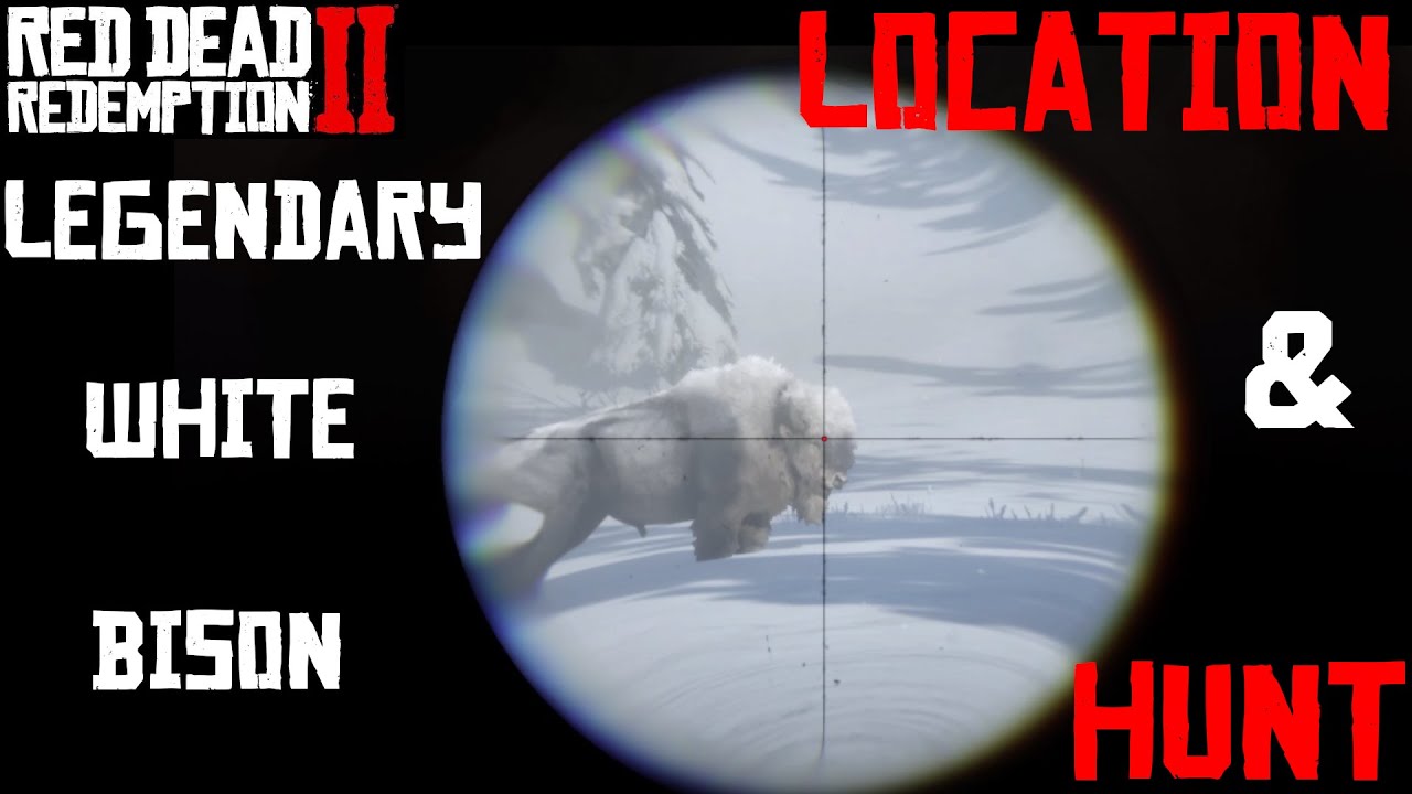 Red Dead Redemption 2 - Legendary White Bison Location & Hunt (PC Ultra ...