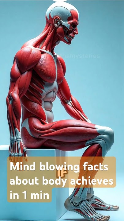 Amazing Things Your Body Does in 1 Minute #shorts #health #humanbody #science #didyouknow #body ...