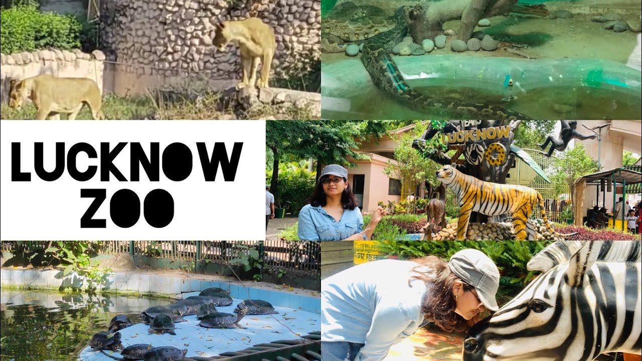 Lucknow zoo tour by @arrogance_ashka002 #lucknow #lucknowzoo #vlog ...