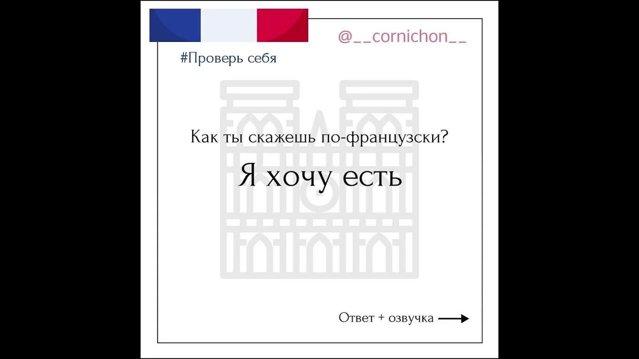 Фразы для ежедневного общения на французком Сохраняй Youtube