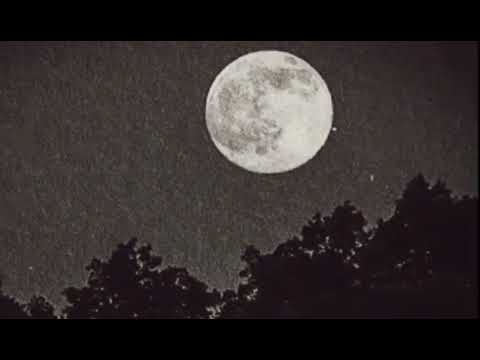 sound app💚mənalı və maraqlı whatsapp vidyoları #shorts #trending #tiktok #trend #short #love #fyp