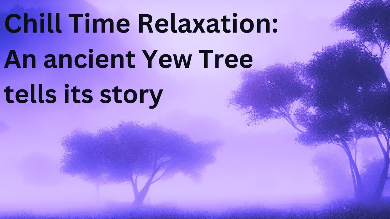 Chill Time Relaxation: An Ancient Yew Tree Tells Its Story - YouTube
